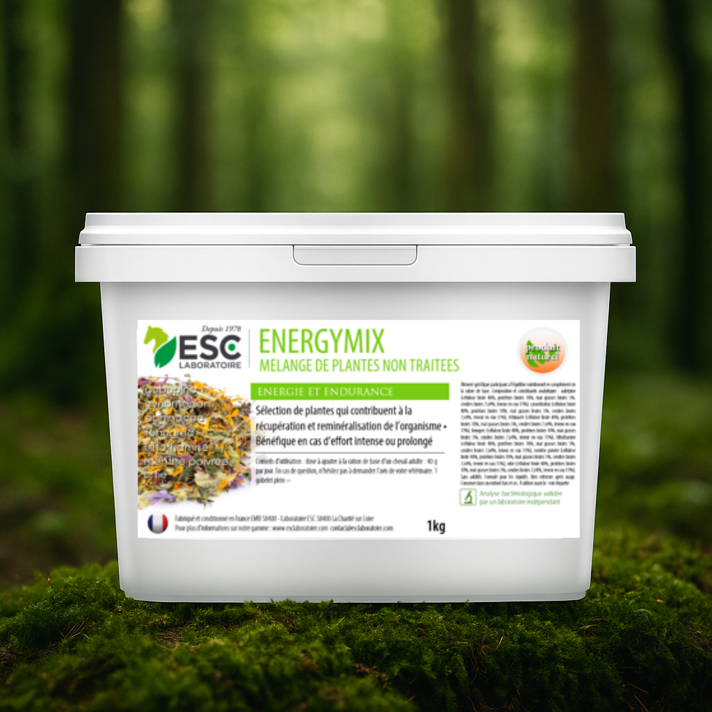 Energymix - vitasteed